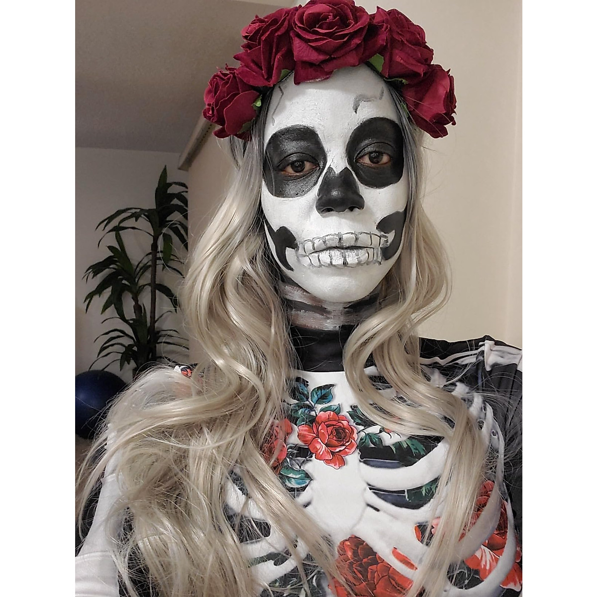 DreamLily Rose Flower Crown Wedding Festival Headband Hair Garland Wedding Headpiece (1-Burgundy)