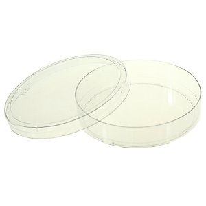 Nest Scientific 704001 Polystyrene Cell Culture Dish, Tissue Culture Treated, Sterile, 100 mm, 20 per Bag, 300 per Case (Pack of 300)