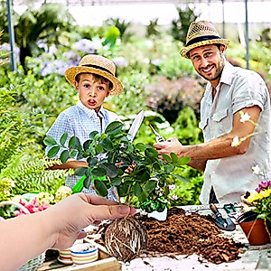 QHC KOCK Tree Root Growing Box,10 Pack Rooting Ball Grafting Tools,Sprouts Growing Kit Reusable High Pressure Tree Rooter Air Plant Layering Propagation Pot Rooting Device for Plant Cutting Seedings