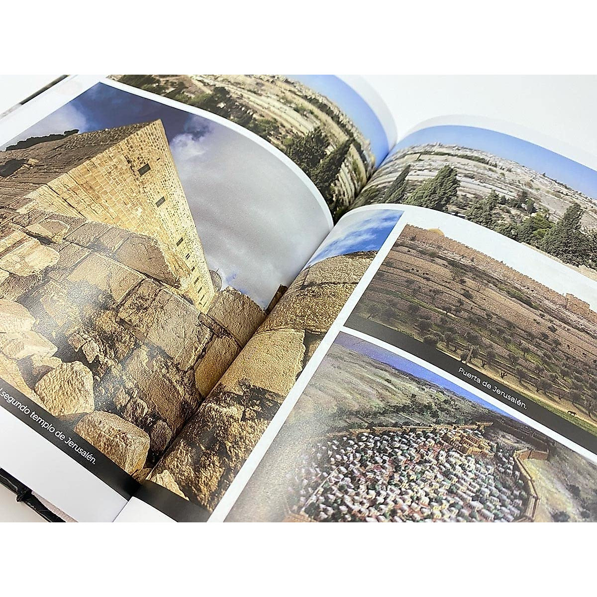 Diccionario enciclopédico bíblico ilustrado CLIE (Spanish Edition)