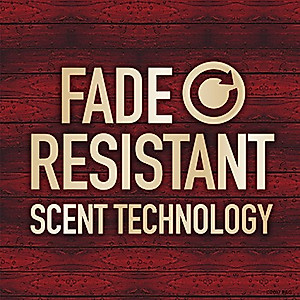 Old Spice Red Collection Invisible Solid Anti-Perspirant and Deodorant for Men, Captain, 2.6 oz