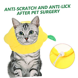 DOITOOL 3pcs Pet Collar Lick Collar for Dogs Bite Pet Cone Collar for Pet Heal Dog Elizabethan Collar Cat Recovery Collar Dog Recovery Collar Kitten Cone Puppy Plush Elizabeth Circle