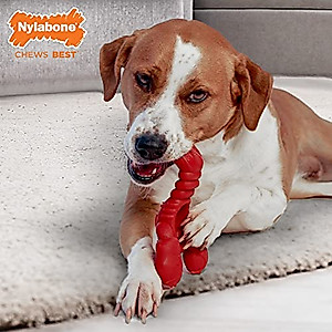Nylabone Power Chew Lobster Dog Chew Toy, Cute Dog Toys for Aggressive Chewers, Filet Mignon Flavor, X-Large/Souper (1 Count)