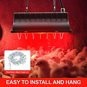 WISMOIER Infrared Heat Lamp for Chickens Coop Chicks Puppies Reptiles Livestock Poultry Bathroom 250 Watt 120V, Sauna Red Light Therapy Bulb