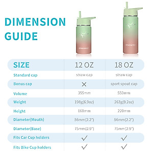 STACEGEELE Insulated Vacuum Water Bottle with Spout Lid & Screw on Top | Stainless Steel Flask For Kids Leak Proof Lightweight Eco Friendly 18oz / 24oz / 32 oz / 40oz (Mint Julep, 12OZ)