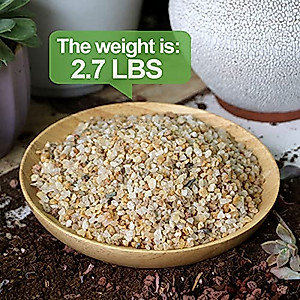 Coarse Silica Sand 2.7lb Succulent Rocks Stones Potting Horticultural Grit Cactus Bonsai Soil Cover Gravel Indoor Plant Pebbles Carnivorous Mix for Cacti, Vase Filler, Fairy Gardening, Top Dressing