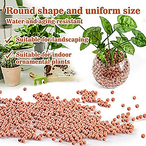 Sukh Clay Pebbles for Plants - Pebbles for Indoor Plants 100% Natural Clay, Used for Drainage, Decoration, Aquaponics, Hydroponics and Other Gardening Essentials Hydroton Small Pebbles Leca for Plants