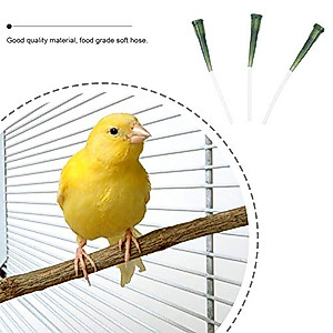 Soft Birds Feeding Hose Puppy Food Birds Water Feeder Bird Feeding Tubes Birds Feeding Hoses, 3pcs Parrot Feeding Hose Tool Birds Feeding Dropper Feeding Tube Birds Feeding Tool