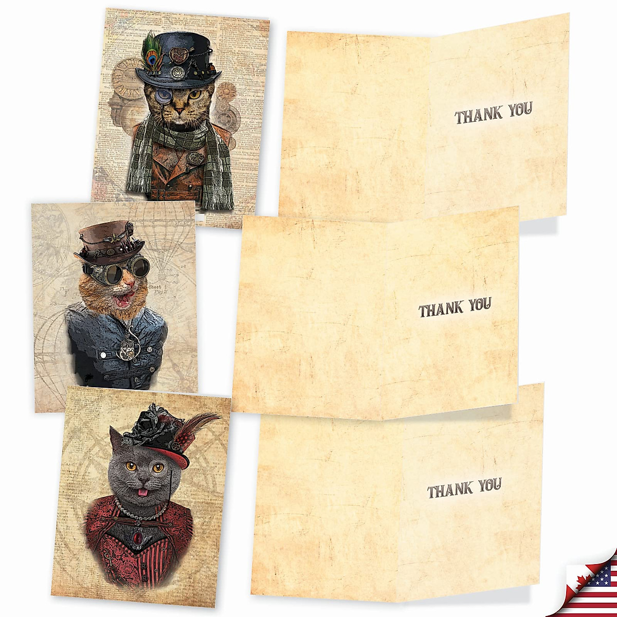 The Best Card Company 10 Assorted Thank You Notecards Bulk Box Set 4 x 5.12 Inch with Envelopes (10 Designs, 1 Each) Steampunk Cats M6554TYG