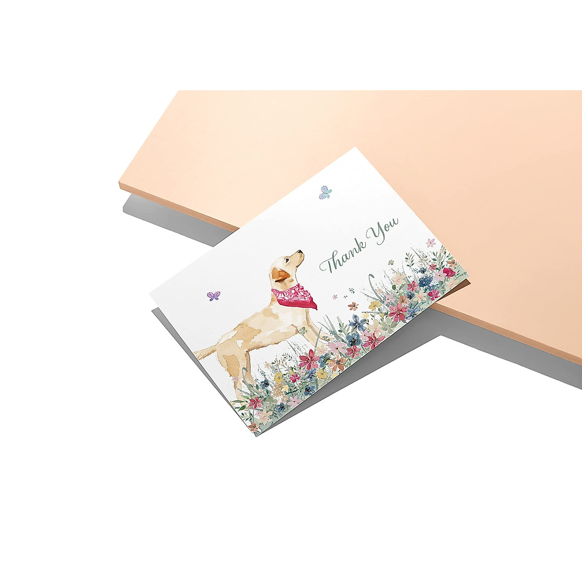 Twigs Paper Thank You Cards Dogs Design - 12 Assorted Dogs Thank You Cards with Envelopes - Made in USA Greeting Card - Eco Friendly Blank Cards and Envelopes - 5.5 x 4.25 Size Appreciation Cards