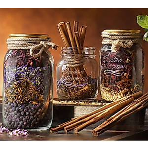 Bormioli Rocco 3.59920 (00237) RBR7905 Quatro Stadium Owner, 0.5 gal (1.5 L)