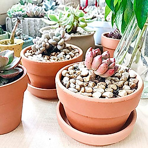 Yishang 3.5 Inch Shallow Terra Cotta pots with Saucer/Tray,Ceramic Clay Planter with Drain Hole for Succulent & Cactus Nursery Planter, DIY Craft Projects, Wedding and Party Favors