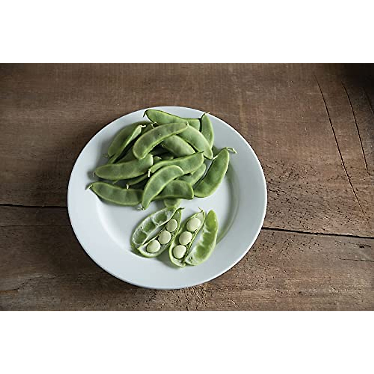 David's Garden Seeds Bean Lima Bush Fordhook FBA-00063 (Green) 25 Non-GMO, Heirloom Seeds