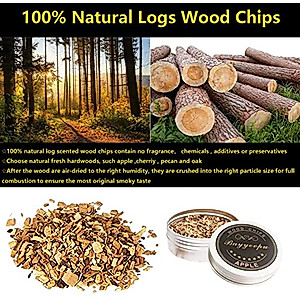 Cocktail Smoker Kit & Chips For Old Fashioned Cocktails,Drink Smoker Infuser Kit with 4 Flavors Wood Chips, Old Fashioned Smoker Kit for Cocktail, Whiskey, Wine, Christmas gifts for Dad Boyfriend (B)