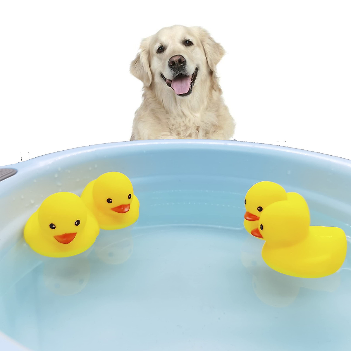 Osvela Duck Dog Toy Rubber Water Floating Bath Squeak Toy for Dogs Cats 4 Pack