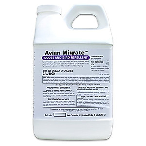Avian Migrate Goose Deterrent, Bird Repellent Concentrate, Geese Repellent, Non-Toxic, Made in The USA, Removes Geese from Beaches, Yards, Ponds, Parks and Ground (1/2 Gallon)
