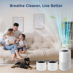 Fil-fresh Core 200S Replacement Filter Compatible with LEVOIT Core 200S Air Purifier, H13 True HEPA Filters and Activated Carbon, Replace Core 200S-RF, Fit Levoit Core 200s Replacement Filter, 2-Pack