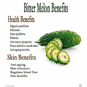 Bitter Gourds Seeds (Asian vegetable)"Green Skin" - 8-10" long - balsam pear(25 Seeds)