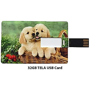 Dell Latitude 3500 Business Laptop, 15.6" HD, 10th Gen Intel Quad Core i5-10310U, 16GB DDR4 RAM, 1TB NVMe M.2 SSD, 500GB HDD, Windows 10 Pro, WiFi, Bluetooth, Webcam, USB-C, HDMI, VGA, (Renewed)