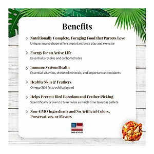 Lafeber Tropical Fruit Nutri-Berries Parrot Food 10 oz bag (2 Pack)