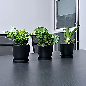 JERIA 10-Pack 5.5 Inch Plastic Plant Pots with Drainage Hole and Trays, Modern Decorative Gardening Pots, Suitable for Indoor and Outdoor, All House Plants, Succulents, Flowers, and Cactus, Black