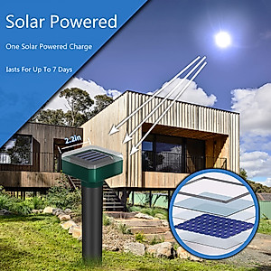 DARUCOT Snake Repellent for Yard Powerful, Snake Repeller Outdoor, Snake Away Repellent, Snake Away Scare for Outdoors Lawn Garden and Yard, Snake Repellent for 0utdoor Pet Safe (6, Green)