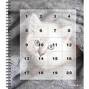 Brain Games - Sticker by Number: Cats & Kittens (Easy - Square Stickers): Create Beautiful Art With Easy to Use Sticker Fun!
