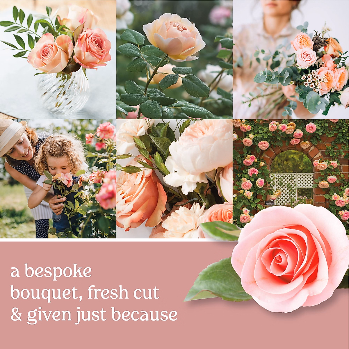 Yankee Candle Fresh Cut Roses and French Vanilla Scented 22oz Large Jar Candles (2-Pack)