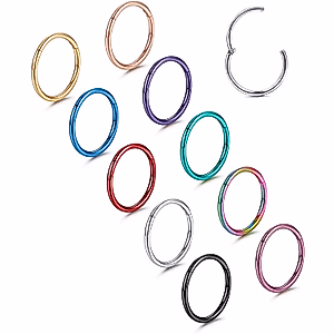 BESTEEL 10 Pcs 16G 18G Hinged Clicker Nose Rings Helix Cartilage Daith Hoop Earrings for Women Men Septum Tragus Sleeper Conch Piercing Earring Set 8-12MM
