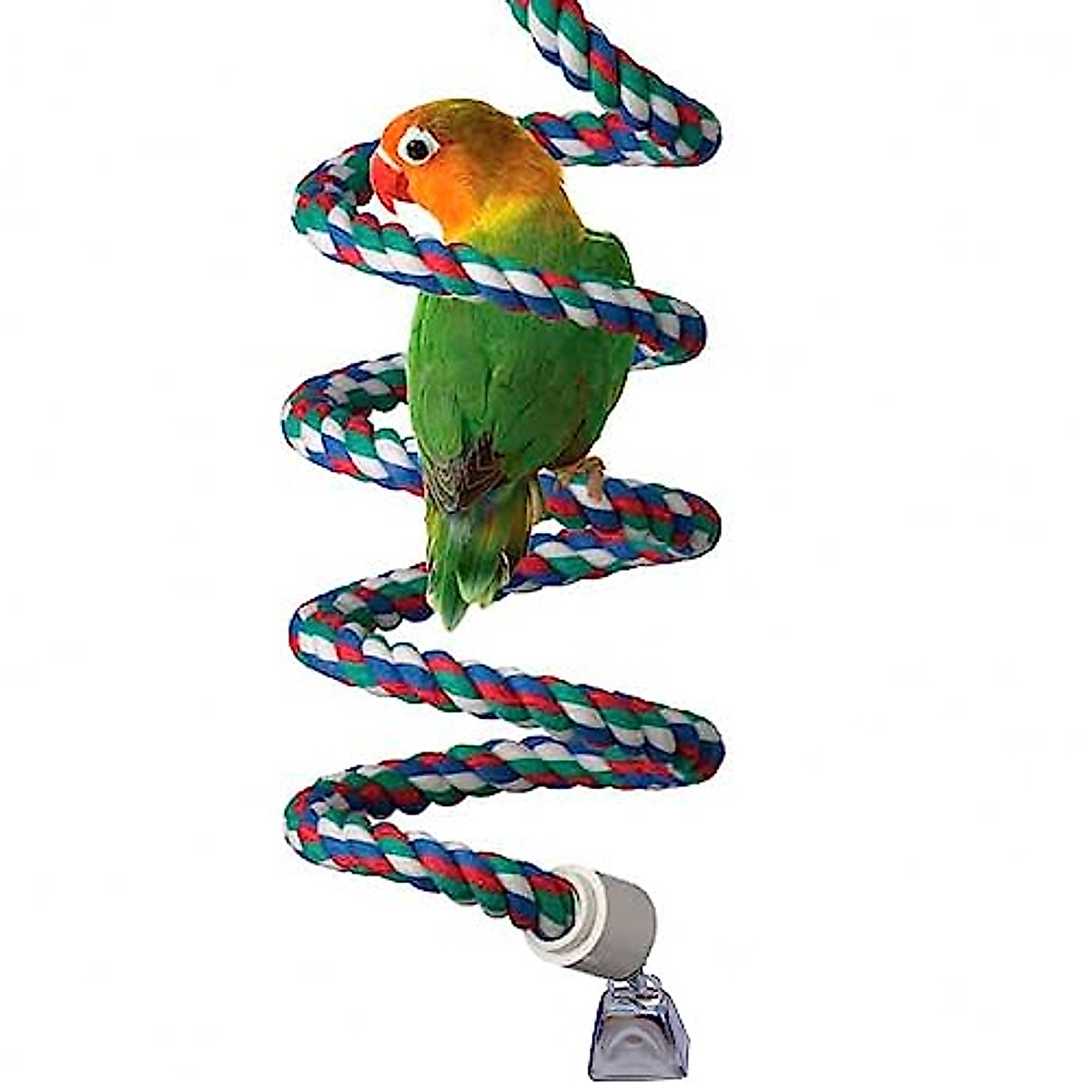Super Bird Creations SB323 Small Bird Bungee Bird Toy, Small Bird Size, 1/2" diameter x 52"