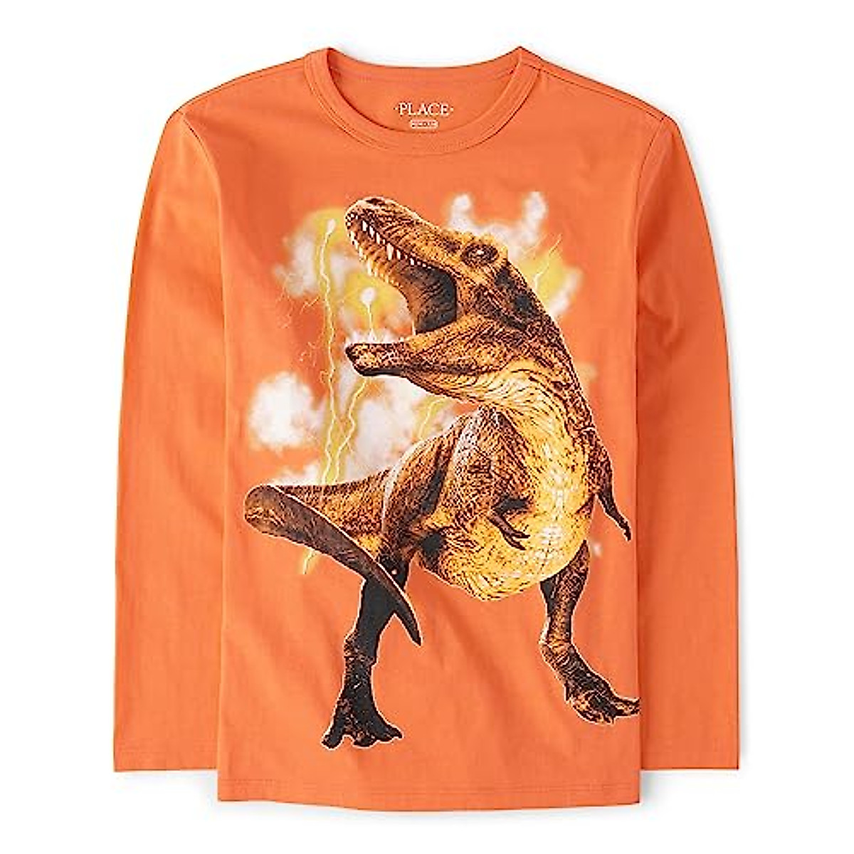 The Childrens Place Boys Long Sleeve Graphic T-Shirts, Dino Lightning, Small