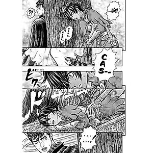 Berserk Volume 41 (Berserk (Graphic Novels))