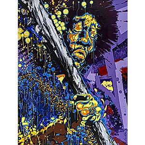 "Are You Experienced?" by Erni Vales of EVLworld Limited Edition Museum Grade Art Print on Aluminum Metal