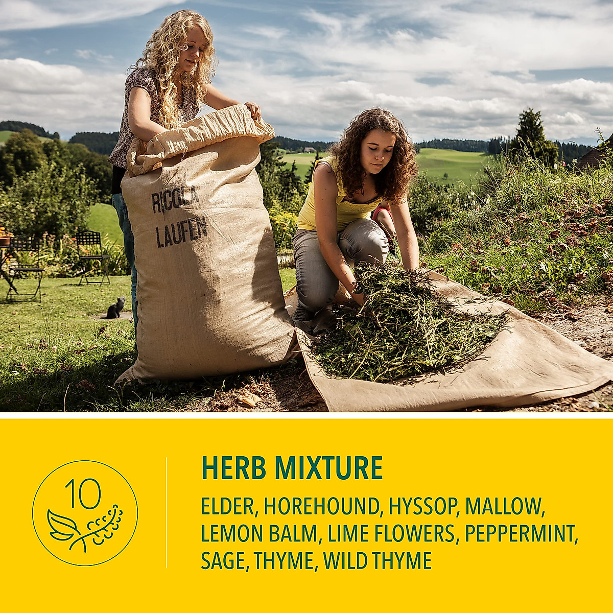 Ricola Berry Medley Bag | Cough Suppressant Throat Drops | Naturally Soothing Long-Lasting Relief - 19 Count (Pack of 1)