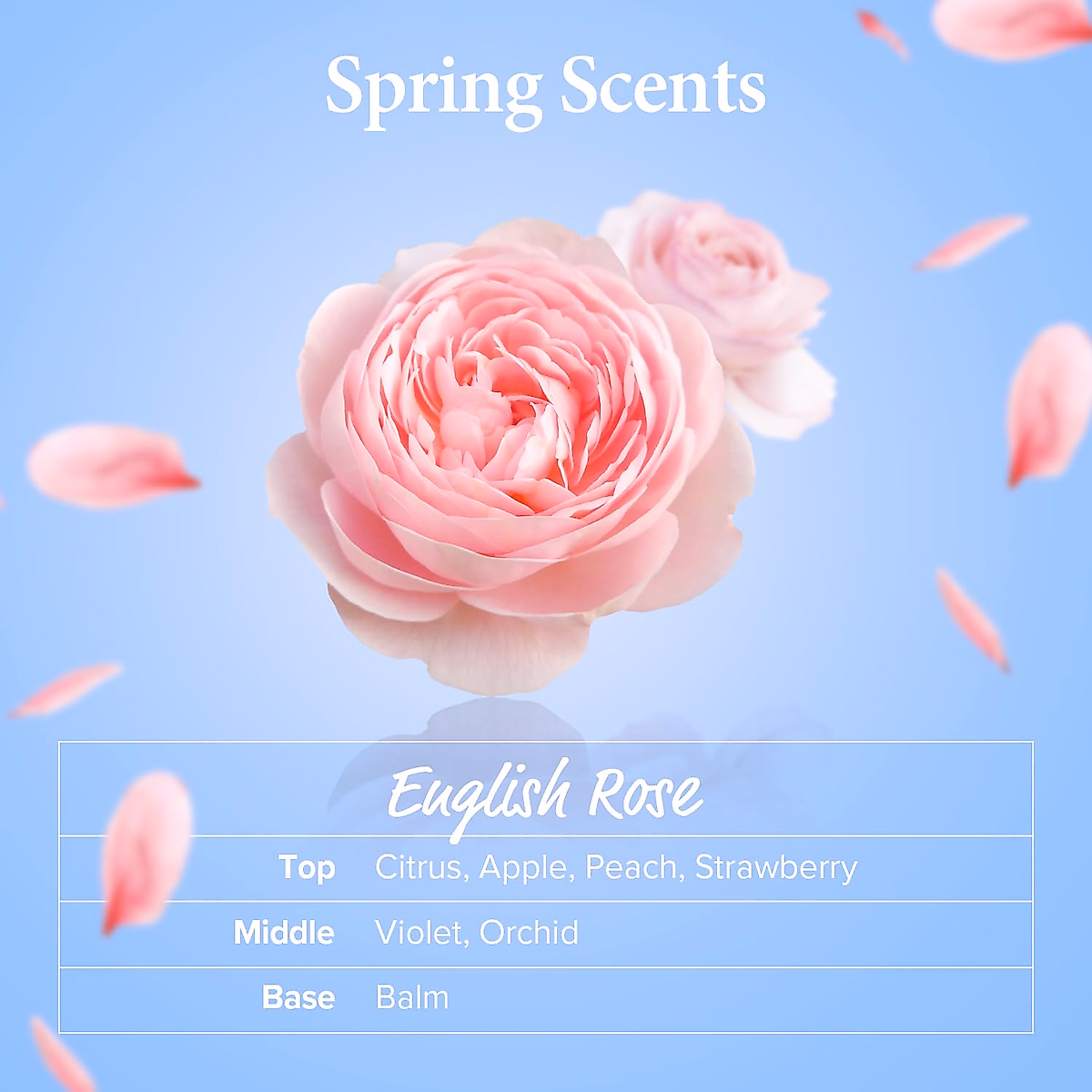 Kundal Honey&Macadamia Hydro-Intensive Protein Premium Nature Hair Shampoo [English Rose] Sulfate Free, Macadamia Oil for Damaged Hiar care, Deep Clean & Hydration 600ml (300ml x2ea) 20.28Fl oz