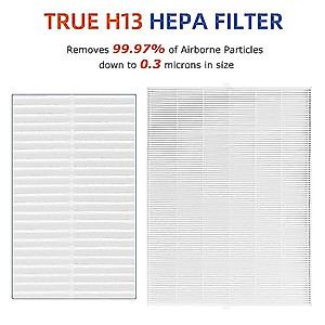 116130 Replacement Filter H for Winix 5500-2 Am80 Plasmawave Air Purifier True HEPA Carbon Filter, 2 Set