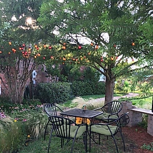 G40 Patio String Lights With 25 Orange Globe Bulbs - Hanging Garden String Lights - Vintage Backyard Patio Lights - Outdoor String Lights - Market Cafe String Lights - Green Wire - 25 Foot