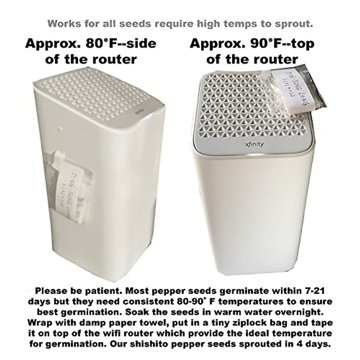 40 Sweet Pepper Seeds for Planting, Green and Red Bell Pepper Seeds, Non-GMO Heirloom Seeds Vegetable Seeds for Home Vegetable Garden & Hydronic Pods. (40ct Veggie Seeds: Pepper-California Wonder)