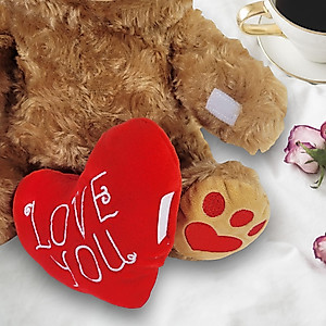 Zillywood 9" Talking Teddy Bear Repeats What You say. Repeating Talking Teddy Bear Gift for her. I Love You Gifts for Valentine's Day, Mother's Day with Removable Plush Heart (Repeating Teddy Bear)