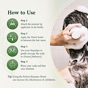 STEAMBASE Tea Tree Scalp Treatment | Purifies and Exfoliates Oily Scalp | Natural BHA & Tea Tree | Removes Odor & Buildup | Hypoallergenic Exfoliator, 8.42 fl oz