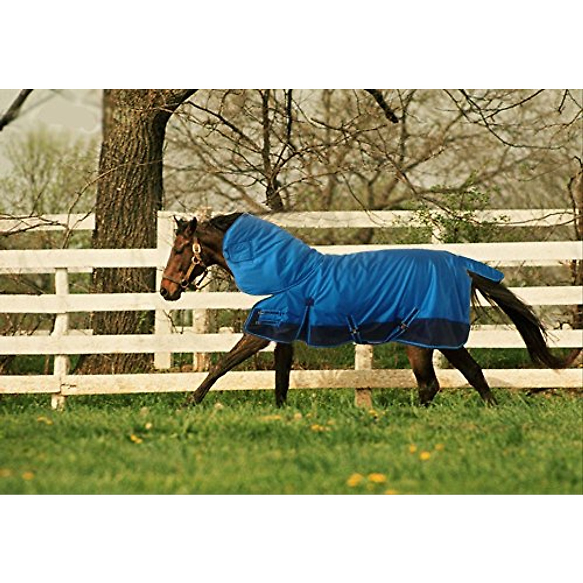 Turnout 1680D Horse Winter Waterproof with Neck Cover - Horse Blanket 002 - Size from 69" to 83" (78")