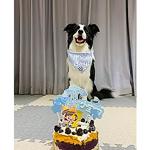 Waghaw Gender Reveal Dog Bandana, It's A Girl It's A Boy Dog Bandana Gender Reveal Bandana for Small Medium Large (Small (Pack of 1), Blue)