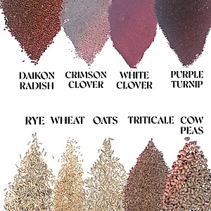 No-Till Cover Crop 10 Seed Mix - Winter Rye, White Clover, Austrian Winter Peas, Triticale, Crimson Clover, Cow Peas, Daikon Radish, Purple Turnips, Wheat, Oats, (25 Pounds)