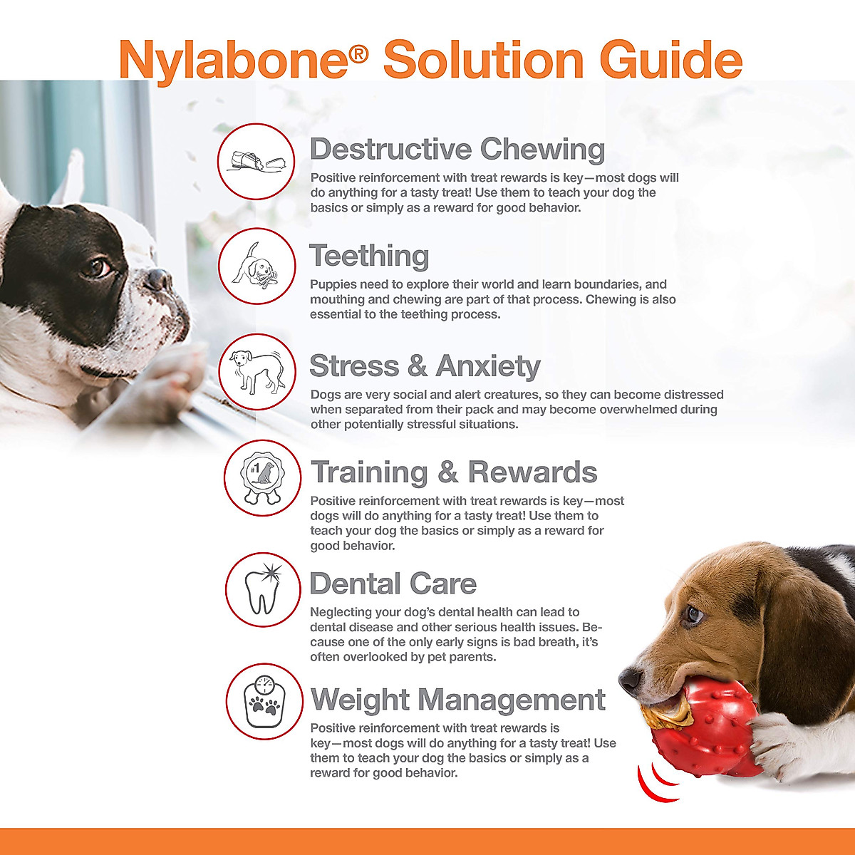 Nylabone Durachew Chicken Blister Card Wolf