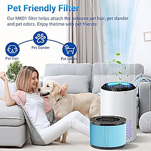 MK01 & MK06 True HEPA Filter Replacement for MK01 MK06, TZ-K1 and DH-JH01 Air Purifier, Standard Version, Blue, 2 Pack
