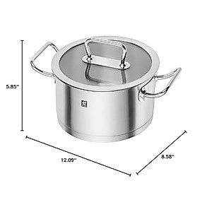 ZWILLING 65122-200 Pro Stew Pot 7.9 inches (20 cm) (with Glass Lid), Two-Handed, Stainless Steel, 3-Layer Bottom Structure, Induction Compatible, 1.2 gal (3.0 L)