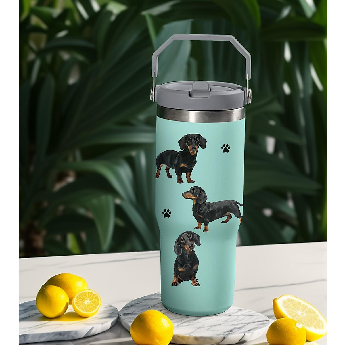 Caiibaoob Dachshund Tumbler for Dachshund Owners, 30oz Stainless Steel Vacuum Insulated Water Bottle (Dachshund-Seaform)