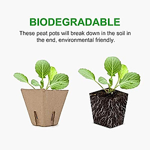 GROWNEER 120 Packs 2.3 Inches Square Peat Pots Plant Starters for Seedling with 15 Pcs Plant Labels, Biodegradable Herb Seed Starter Pots Kits, Garden Germination Nursery Pot