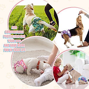 Chenkaiyang 4 Pack Dog Diapers Female Washable Dog Diapers Reusable Puppy Diapers Highly Absorbent Comfortable Doggy Diapers for Dogs in Heat or Excitable Urination (S, Mermaid)