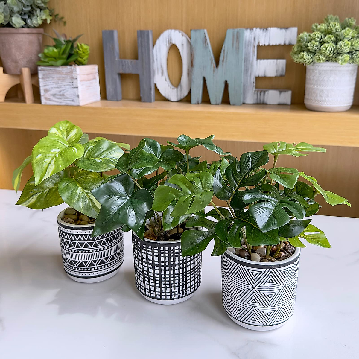 Winlyn 3 Pcs Small Artificial Potted Tropical Plants Faux Monstera Ivy Pothos in Black Geometric Pots for Gifts Hawaiian Tropical Luau Party Table Shelf Office Indoor Outdoor Decor